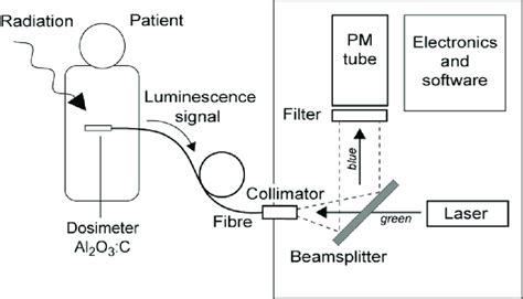 1 Schematic Of The Rlosl Dosimetry System Download Scientific Diagram