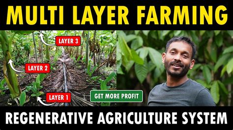 Organic Regenerative Agriculture And Sustainable Multi Layer Farming System Varanashi Farms