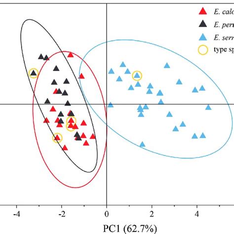 The Principal Component Analysis Pca Plot For The Morphological