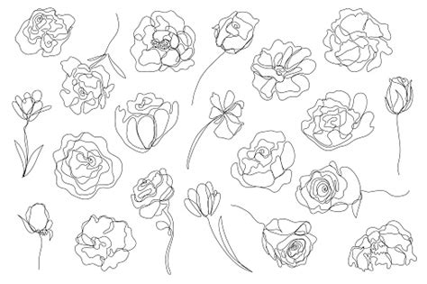 손으로 그린 단일 연속 라인 꽃의 벡터 세트 아트 플로럴 요소 티셔츠 프린트 로고 화장품 및 뷰티 디자인에 사용 개체 그룹에 대한 스톡 벡터 아트 및 기타 이미지 Istock
