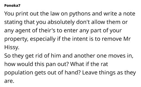 Python Lives Peacefully Under Womans House For Years Neighbor Suddenly Insists On Removing It