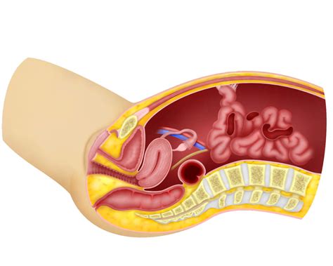 Laparoscopy Tips And Tricks In Performing Laparoscopic Surgery Carbon Dioxide Insufflation