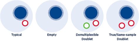 What Is Fixed Rna Profiling Software Single Cell Gene Expression Official 10x Genomics Support
