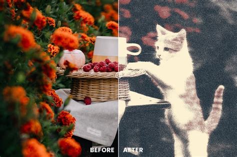 Pointillize Distortion Photo Effect Layer Styles Including Photo