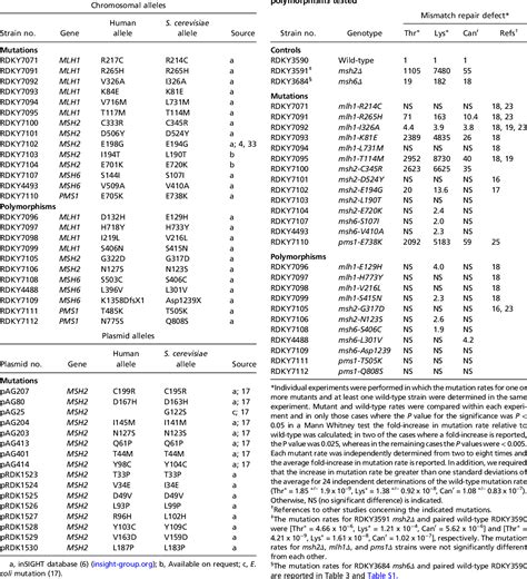 Table 2 From Functional Analysis Of Human Mismatch Repair Gene