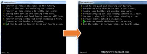 vim for linux admins 8 powerful tips and tricks part 2