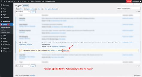 Updating The Plugin Wp Team