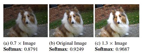Now Reading Confidence Estimation In Deep Neural Networks Via Density Modelling Lipmans