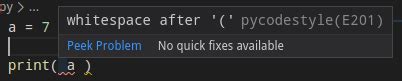 Linting IDEs Debugging
