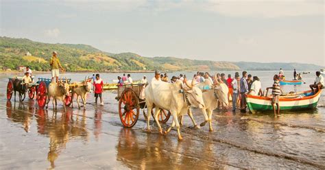 Harnai Beach Tourist Destination In Konkan