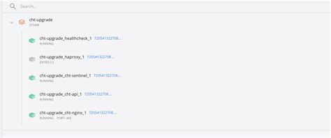Allow For Dynamically Setting Container And Network Names · Issue 7802