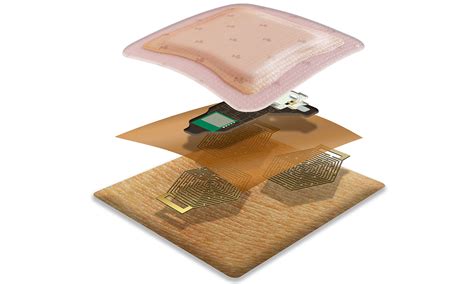 Wearable Heart Monitor Ticks All The Boxes For Better Healthcare Study RMIT University