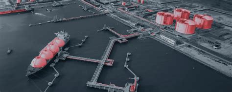 MarineTraffic Vessels API