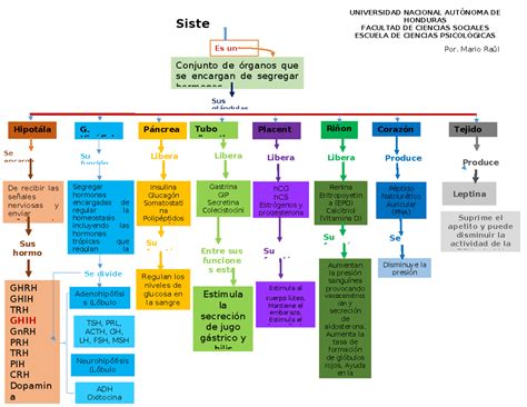 Sistema Endorcino Glándulas Endocrinas Dos Universidad Nacional