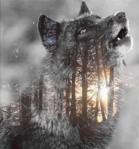 ავთანდილ კორკოტაძე