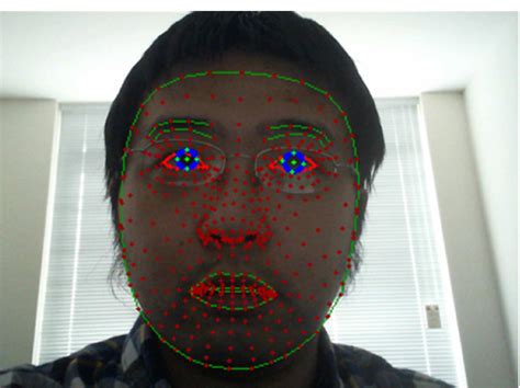 face and iris landmark detection results download scientific diagram