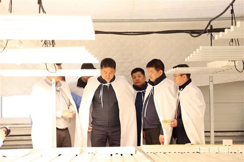 Монгол Улсын Ерөнхийлөгч У Хүрэлсүх Төв аймгийн тариалангийн бүс нутагт ажиллаж байна