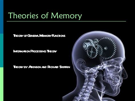 Human Memory Psychology