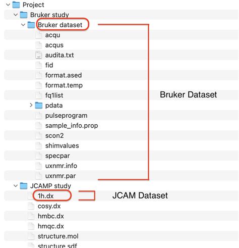 Folder Structure Before Submission Nmrxiv