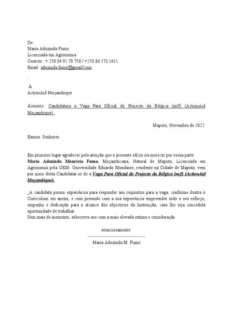 Carta De Candidatura Actionaid Moçambique Pdf