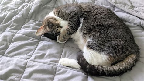 I Want Candy But Its Way Too Early For That Shit ⋆ Chicky · Blog