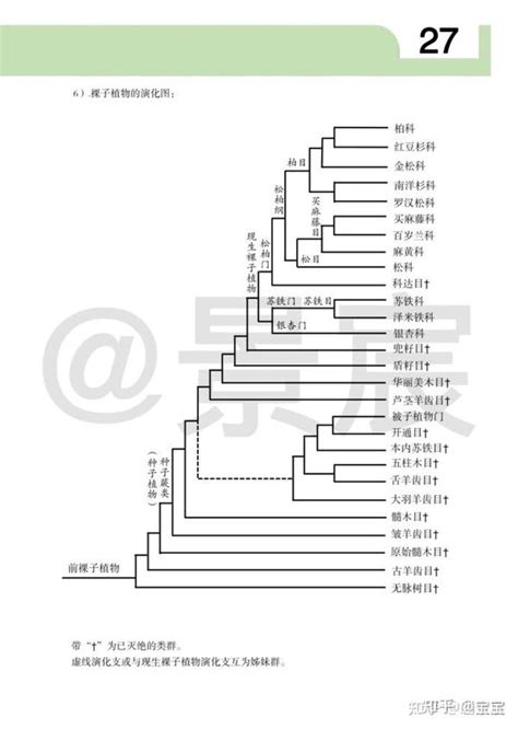 植物进化树 知乎