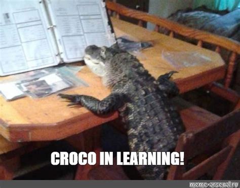 Create Meme These Crocodiles Crocodile Alligator Crocodile