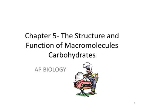 Ppt Chapter 5 The Structure And Function Of Macromolecules Carbohydrates Powerpoint