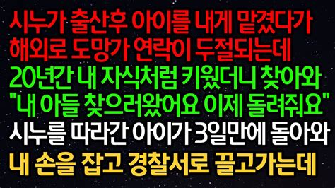 실화사연 시누가 출산후 아이를 내게 맡겼다가 해외로 도망가 연락이 두절되는데 20년간 내 자식처럼 키웠더니 찾아와내 아들 찾으러왔어요 이제 돌려줘요 Youtube