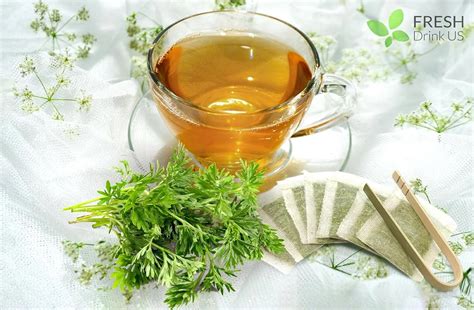 5 Benefits Of Mugwort Exploring Its Wonders For Mind Body And Soul