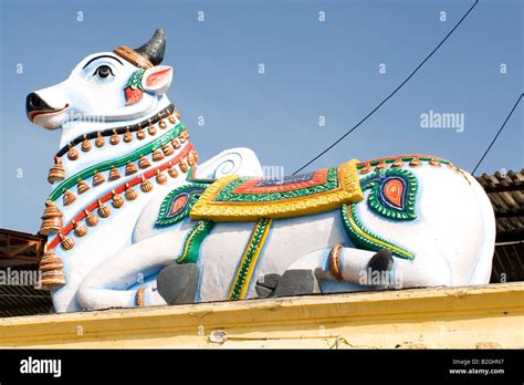 Nandi Hindu