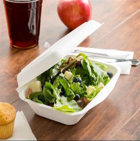 Ecoware Bagasse Clamshell Box 600 Ml For Food Packaging At ₹ 73piece