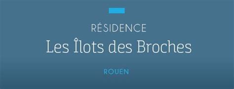 LES ILOTS DES BROCHES Emersons