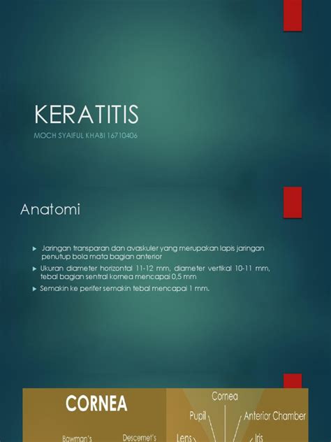Keratitis Pdf