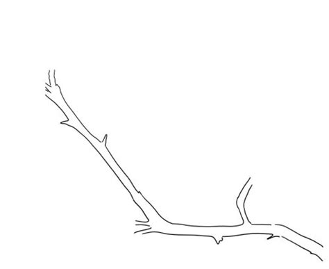 How To Draw A Tree Branch Easy And Simple Tutorial