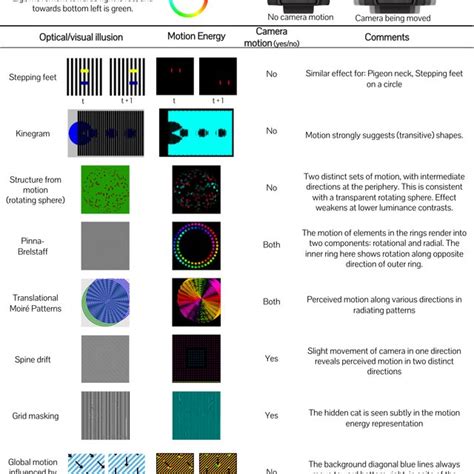 The Motion Perception Tool Explains An Assortment Of Visual Illusions