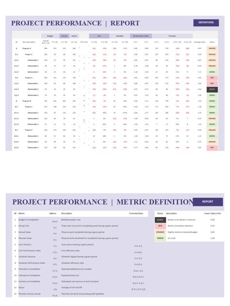 Project Performance Report Pdf Consumer Price Index Pricing