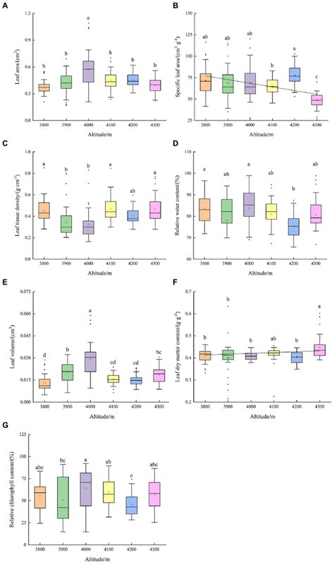 Altitudinal Distribution Of Leaf Functional Traits Of Abies Georgei Download Scientific Diagram