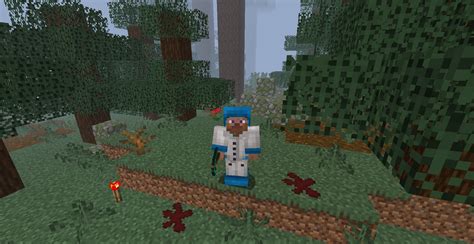 SCP REMAKE Screenshots Mods Minecraft