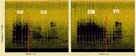 Detailed Spectrogram Of Chirps 3 And 4 Of Fig 2 Time Scale 0 3 S Download Scientific