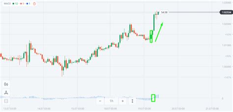 Trading With Forex Oscillators Pinpointing Market Extremes Olymp