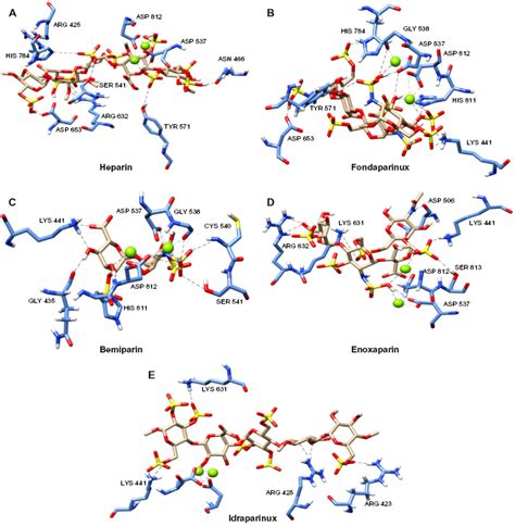 Interactions Of A Heparin B Fondaparinux C Bemiparin D