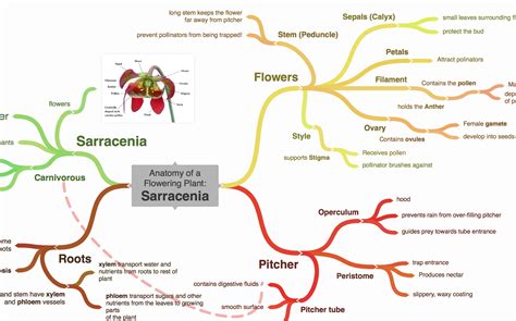 Hogyan használhatjuk a Mind Map Creator alkalmazást a kreativitás