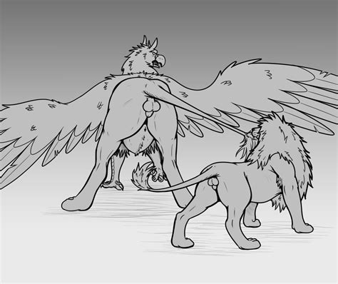 Rule 34 Animal Genitalia Avian Backsack Balls Duo Felid Feral