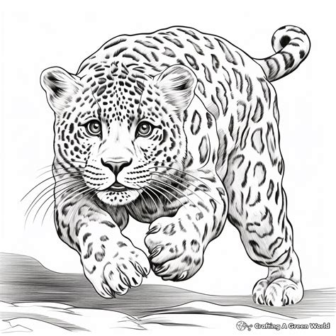Free Printable Snow Leopard Coloring Pages 2025