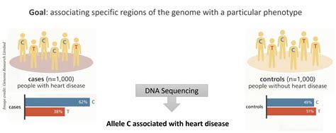 Main Concepts Of Genetics Dnatro