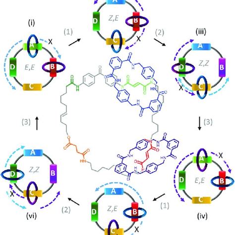 Light Driven Unidirectional Intramolecular Rotation Of A Synthetic