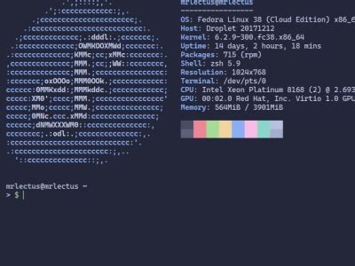 VPS Setup For You L A E MP Stack Upwork