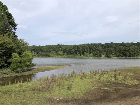 Shelley Lake Sertoma Park 153 Photos And 57 Reviews 1400 W Millbrook