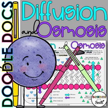 Diffusion And Osmosis Doodle Notes Coloring Worksheet With Differentiation